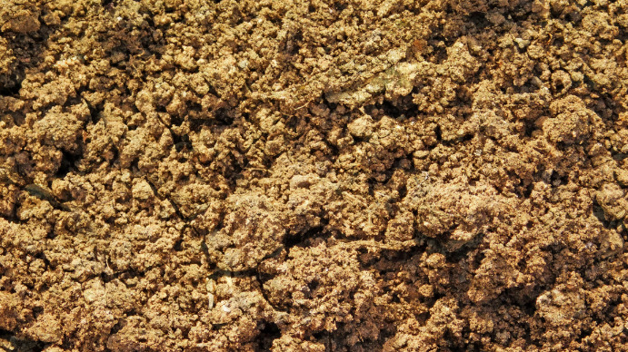 Earth texture Template | PosterMyWall