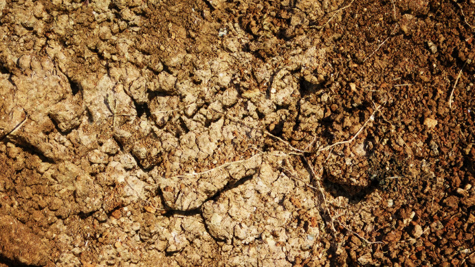 Earth texture Template | PosterMyWall