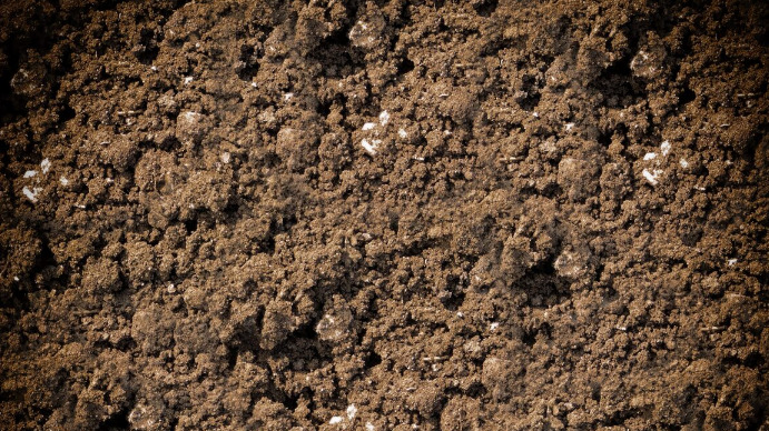 Earth texture Template | PosterMyWall