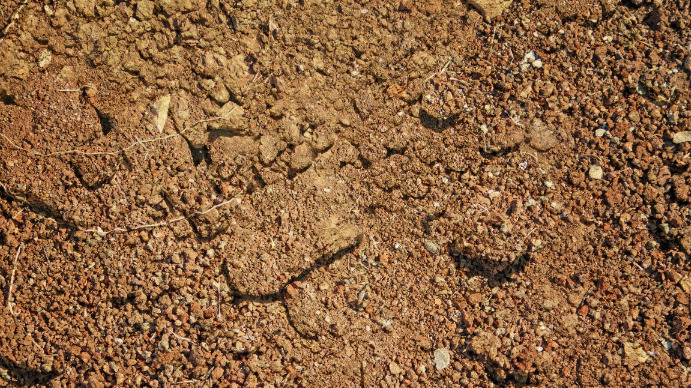 Earth texture Template | PosterMyWall