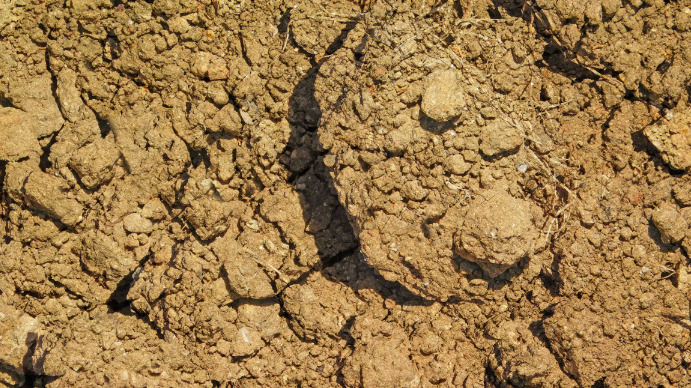 Earth texture Template | PosterMyWall