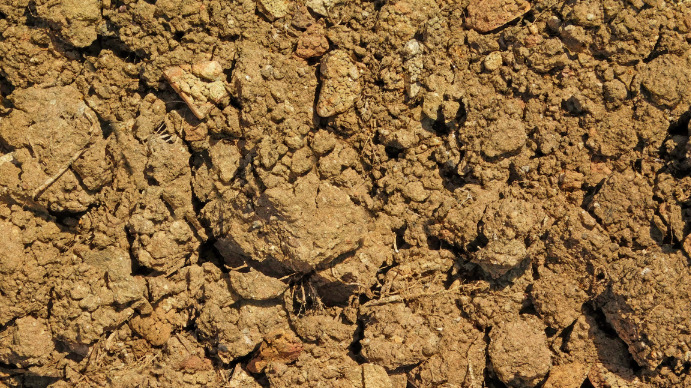 Earth texture Template | PosterMyWall