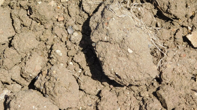 Earth texture Template | PosterMyWall