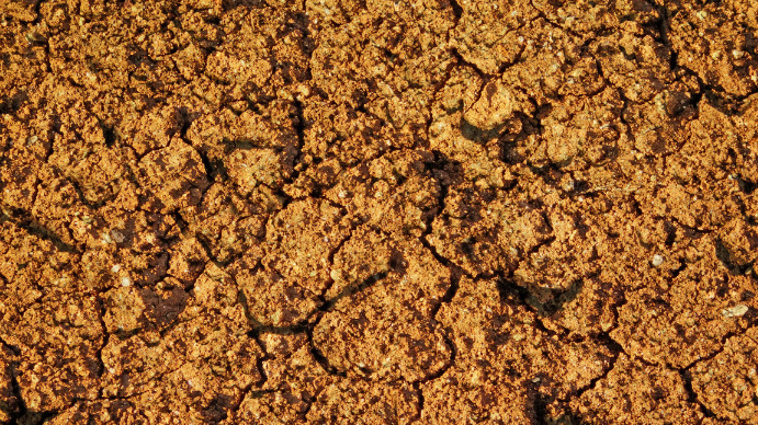 Earth texture Template | PosterMyWall