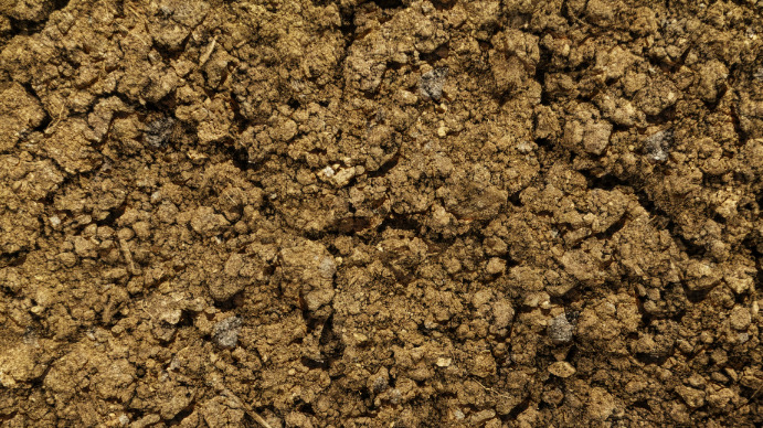 Copy of Earth texture | PosterMyWall