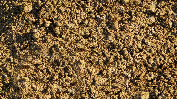 Copy of Earth texture | PosterMyWall