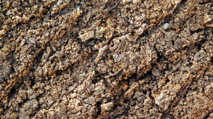 Earth texture Template | PosterMyWall