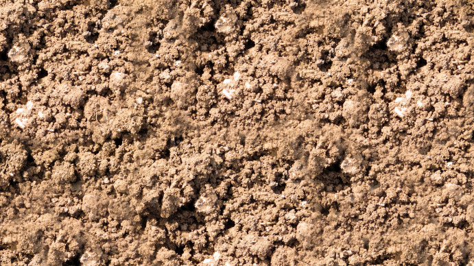 Earth texture Template | PosterMyWall