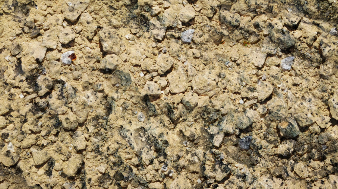 Earth texture Template | PosterMyWall