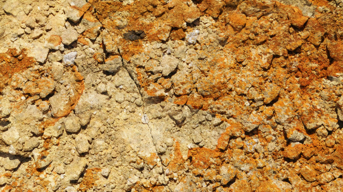 Earth texture Template | PosterMyWall