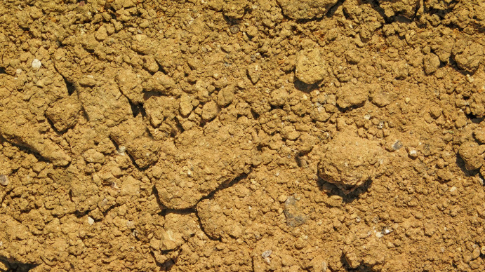 Earth texture Template | PosterMyWall