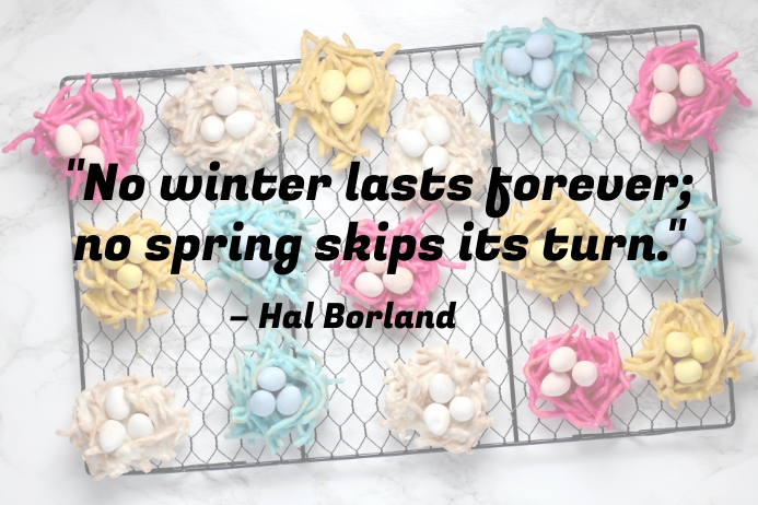 Easter Quotes Template | PosterMyWall