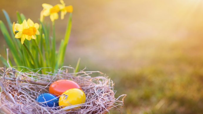 Easter zoom background Template | PosterMyWall