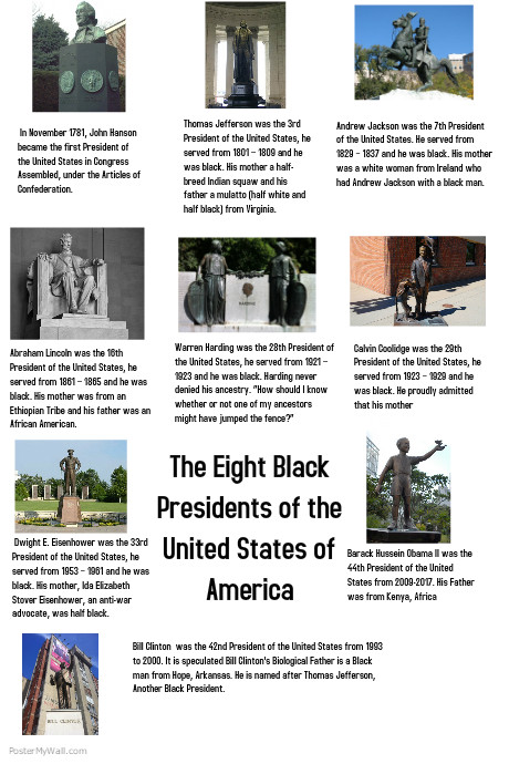 The Black Presidents | PosterMyWall
