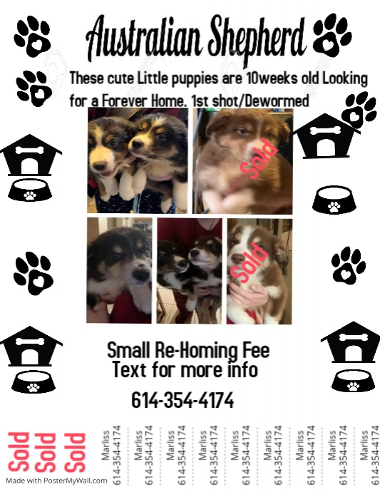 Copy of Free Printable For Sale Flyer With tear-off tabs | PosterMyWall