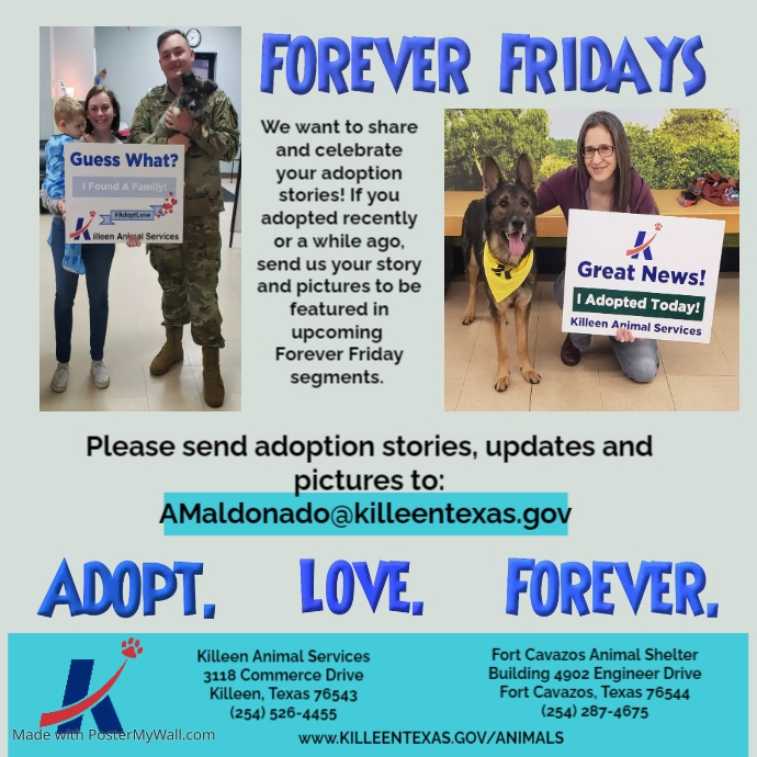 Animal Foster Flyer | PosterMyWall