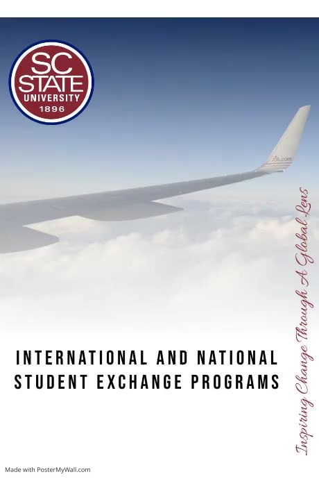 Copy of Flight Flyer Template | PosterMyWall