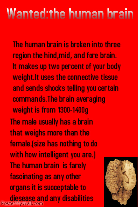 Wanted the human brain | PosterMyWall