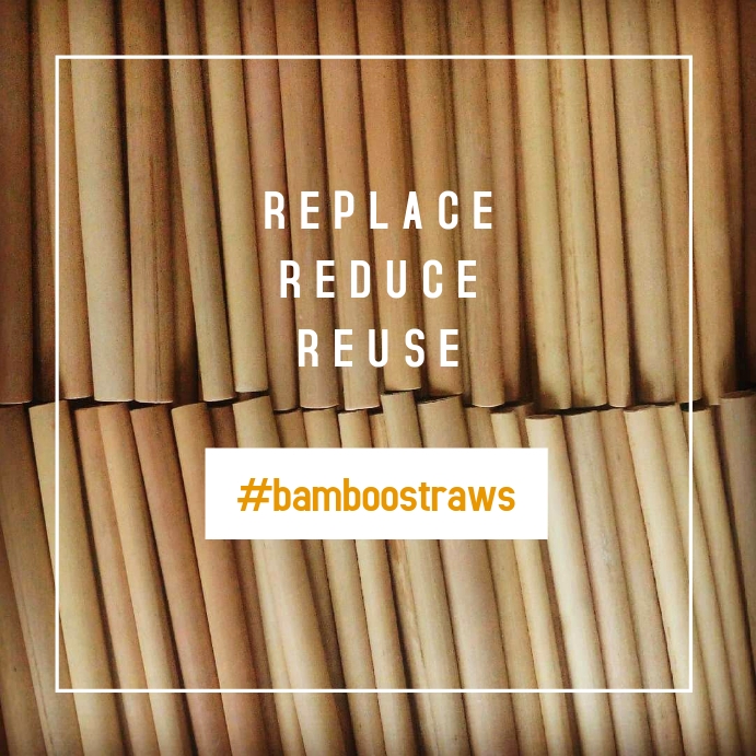 Eco-friendly reusable bamboo straws Template | PosterMyWall