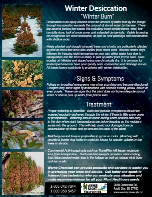 Winter Desiccation | PosterMyWall