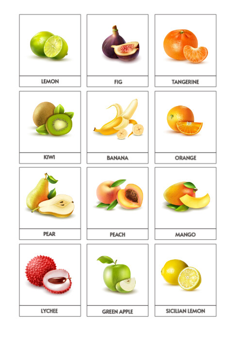 Copy of Editable Montessori Fruits | PosterMyWall