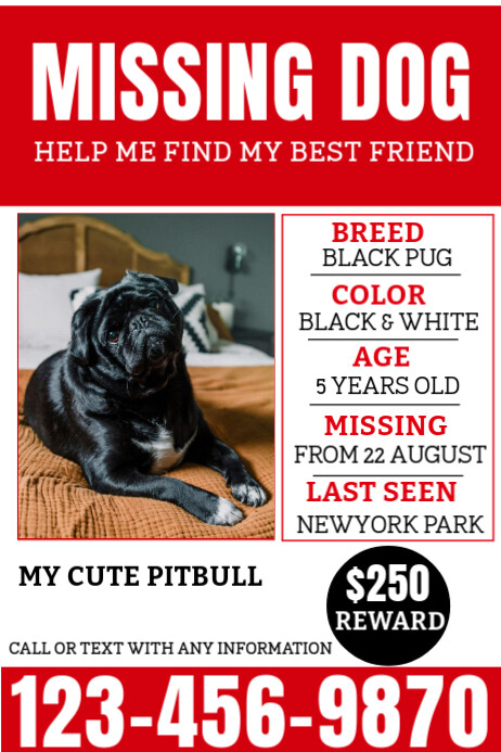 Editable Red White and Black Missing Dog Poster template | PosterMyWall