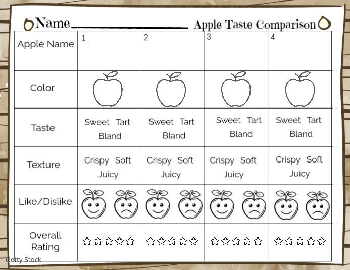 Educational Apple Comparison Chart (US Letter) Template | PosterMyWall