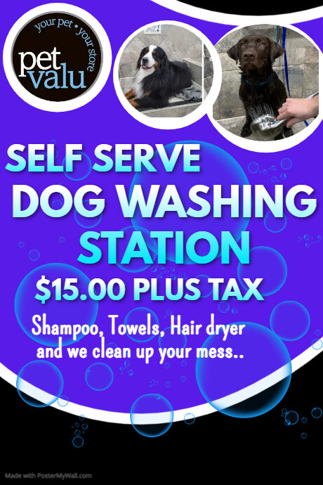 DOG WASH | PosterMyWall