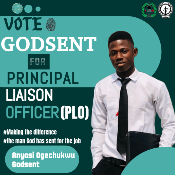 Election flyer Template | PosterMyWall