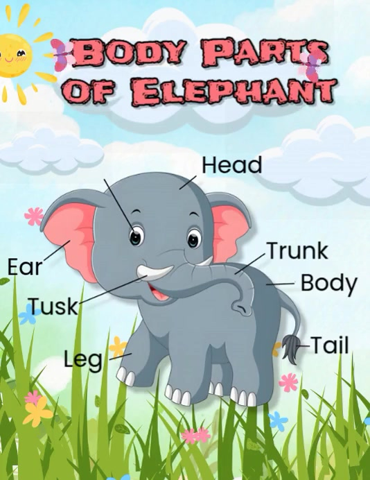 Elephant body parts chart Template | PosterMyWall