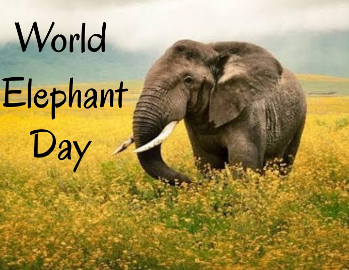 Copy of Elephant day | PosterMyWall