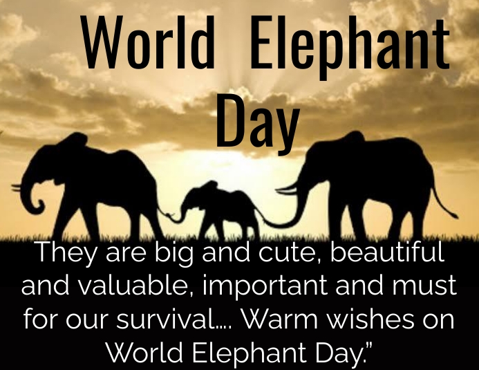 Elephant day Template | PosterMyWall