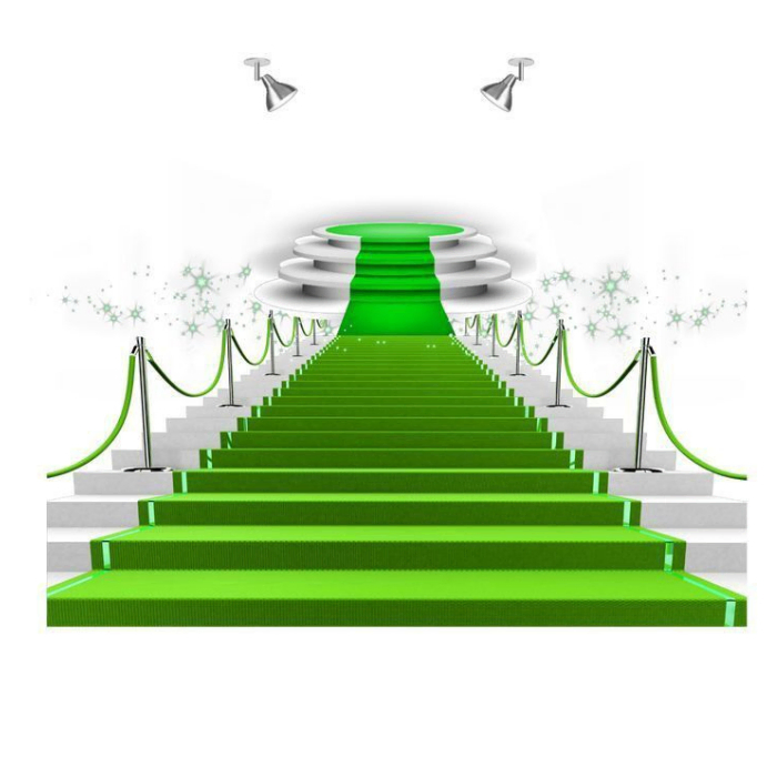 Copy of Emerald carpet runaway stairs | PosterMyWall