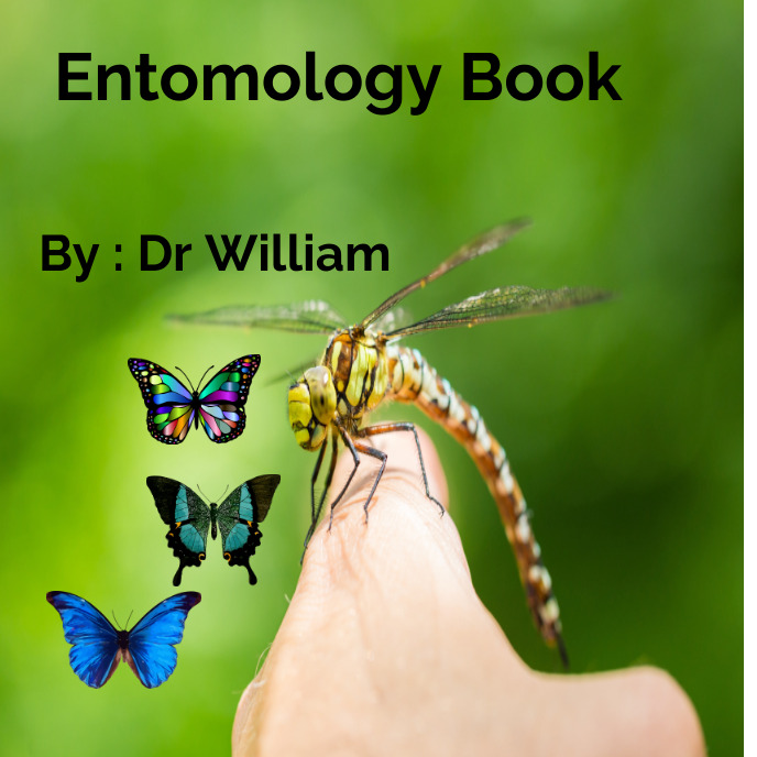 Entomology Book Cover Template | PosterMyWall