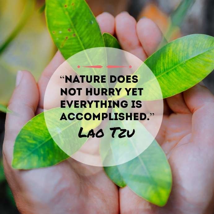 ENVI SQUARE TEMPLATE.E | PosterMyWall