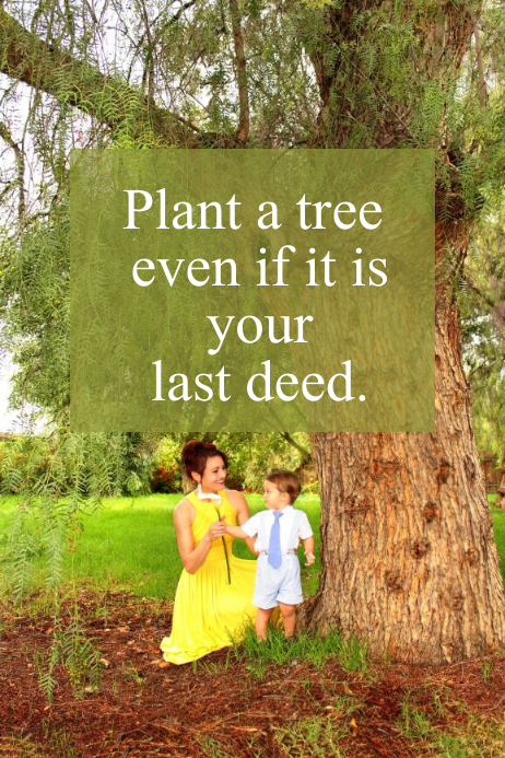 Copy of Environment Plant a Tree | PosterMyWall