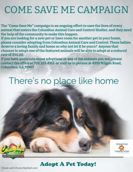 Pet Adoption Awareness Poster Template | PosterMyWall