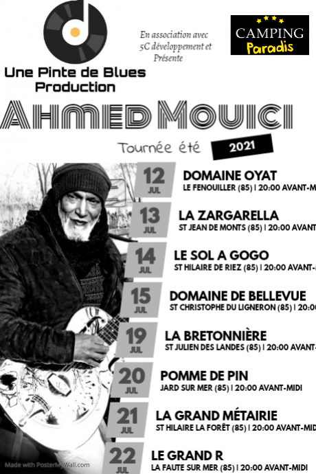 Copie de Rock Band Concert Tour Schedule Flyer | PosterMyWall