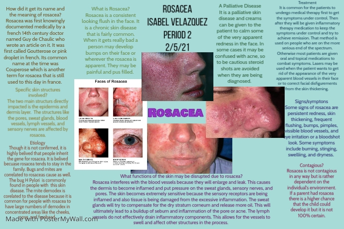 Rosacea Skin Disorder Poster | PosterMyWall