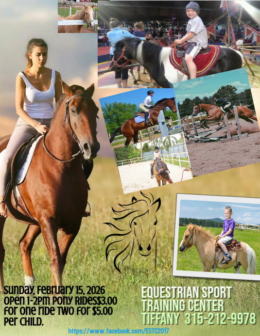 Copy of Copy of horse lessons l Flyer Template | PosterMyWall