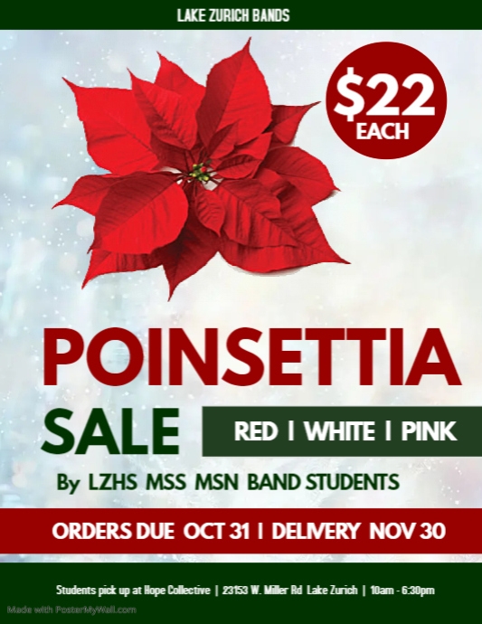 Poinsettia sale | PosterMyWall