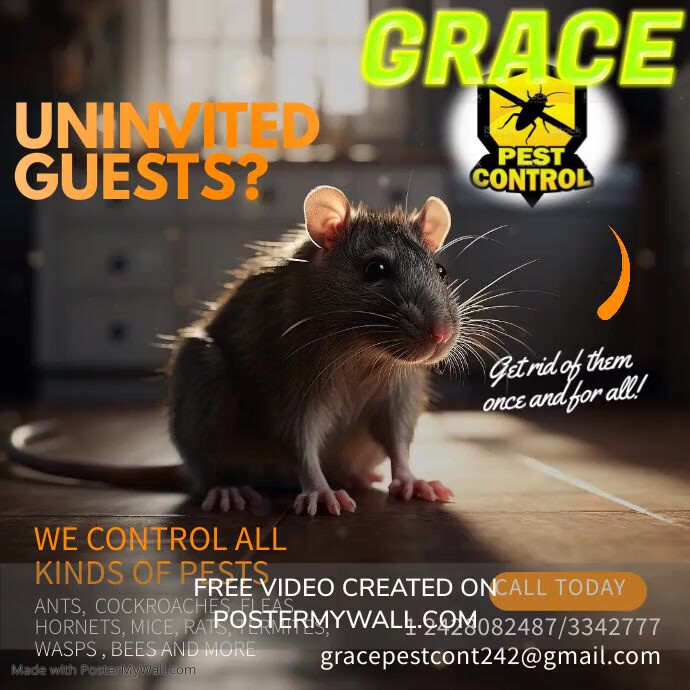 Pest Control Ad | PosterMyWall