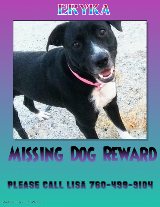 missing dog reward! | PosterMyWall