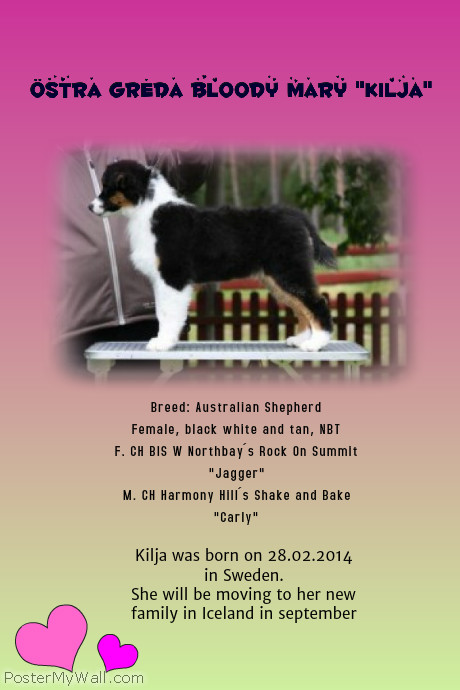 Kilja | PosterMyWall