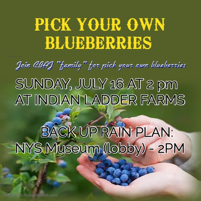 Copy of pick blueberries day | PosterMyWall