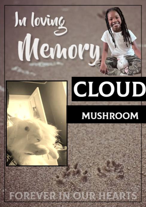 Pet Obituary Flyer | PosterMyWall