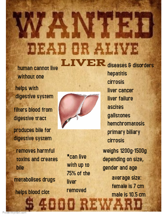 Copy of wanted liver | PosterMyWall