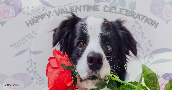 Facebook valentine image template | PosterMyWall