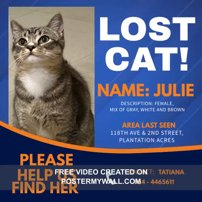 LOST JULIE | PosterMyWall