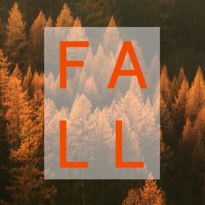 Fall Instagram Post Template | PosterMyWall
